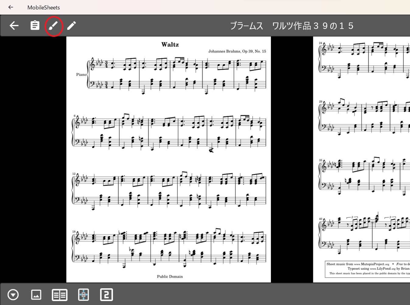 【Mobilesheets Pro 】ラジアルメニュー紹介 - 素人ですが。
